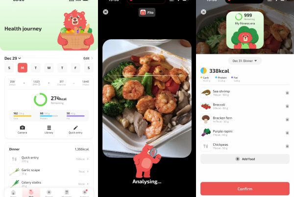 Fito Android 应用程序已发布！小熊可在 Google Play 上下载